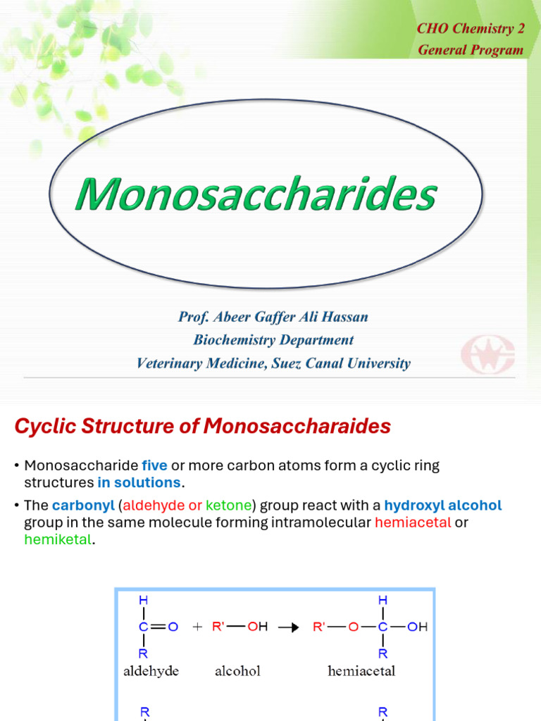 Cyclic Structures and Isomerism in Monosaccharides | PDF | Glucose | Isomer