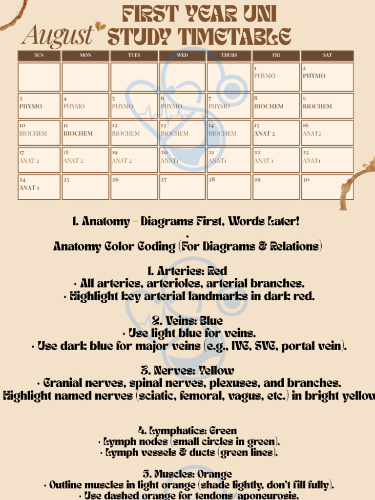 First Year Uni Study Timetable Guide | PDF | Anatomical Terms Of ...
