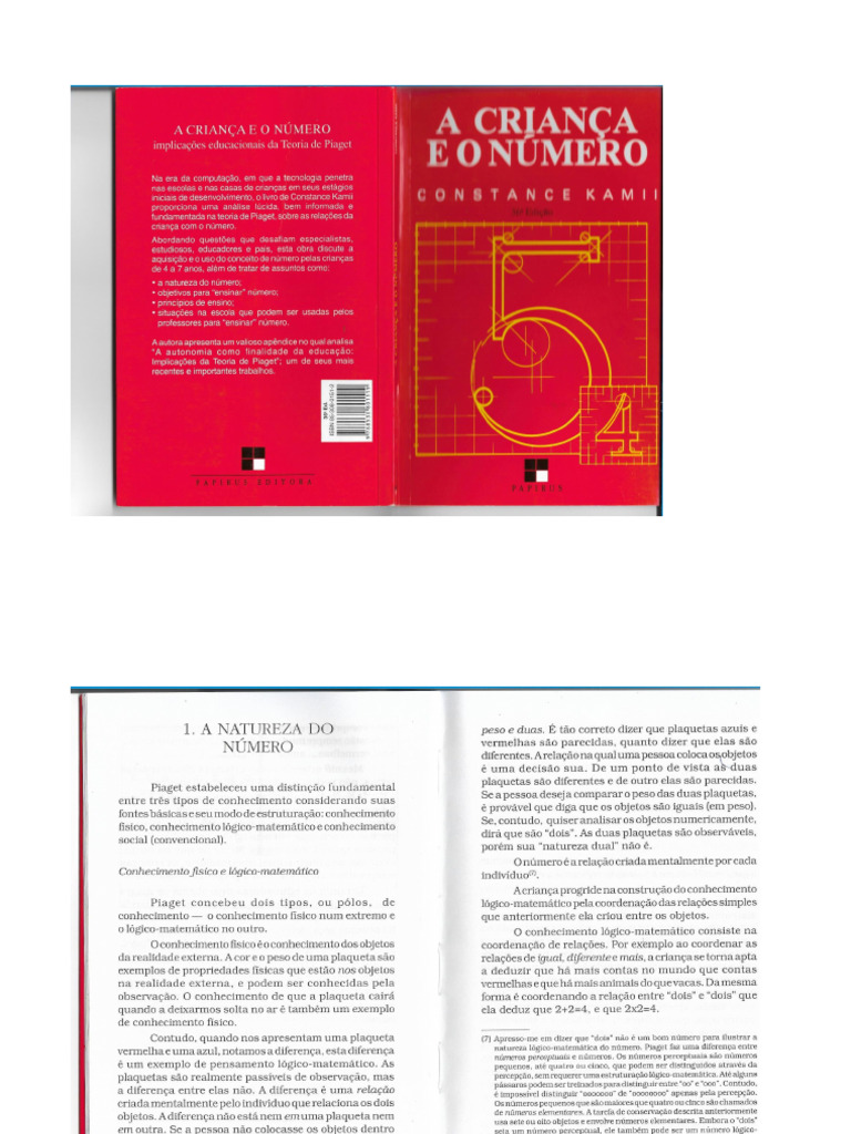 A Crian a e o n Mero | PDF