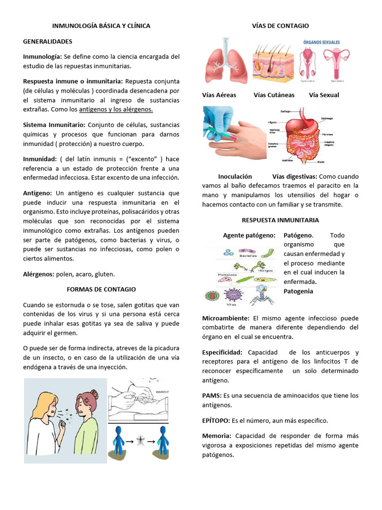 (Del Latín Inmunis ("Excento") Hace | PDF | Sistema inmune | Linfocitos