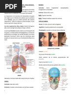 Anatomía y Función de la Cavidad Nasal | PDF | Nariz humana | Cabeza y ...