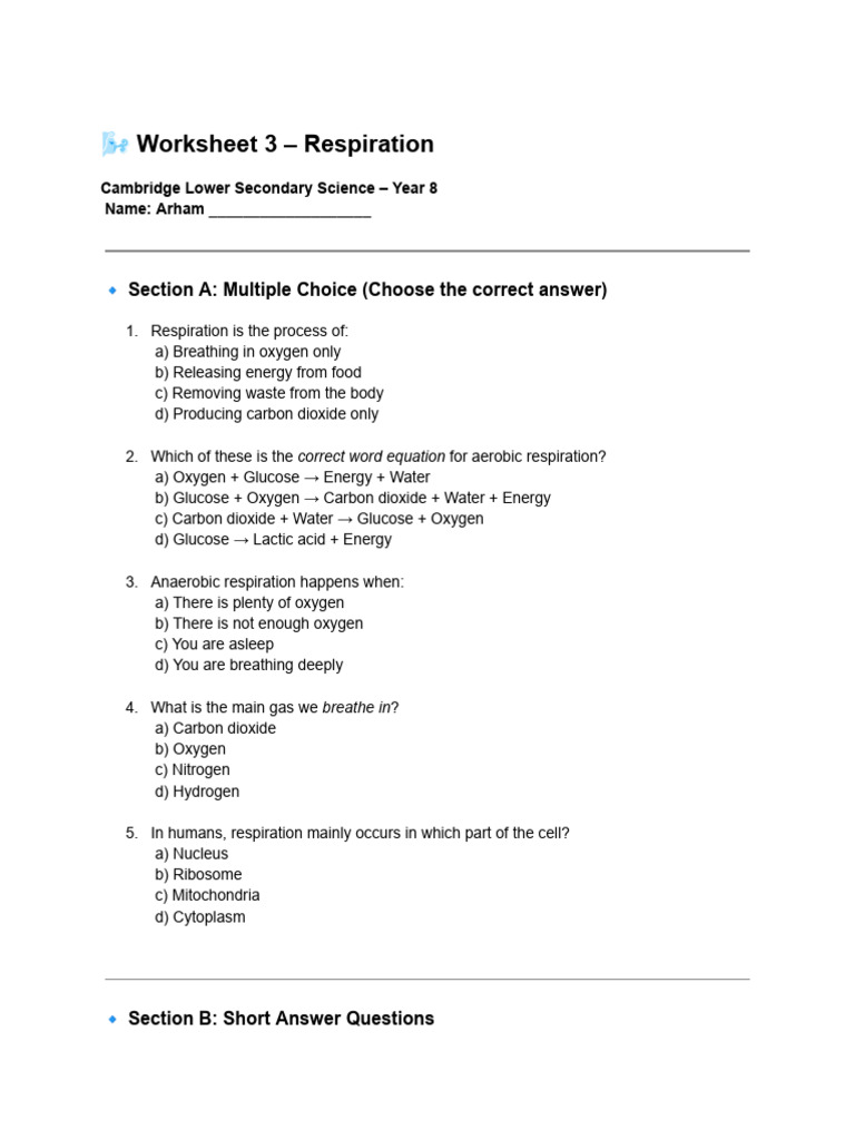 Year 8 Respiration Worksheet | PDF