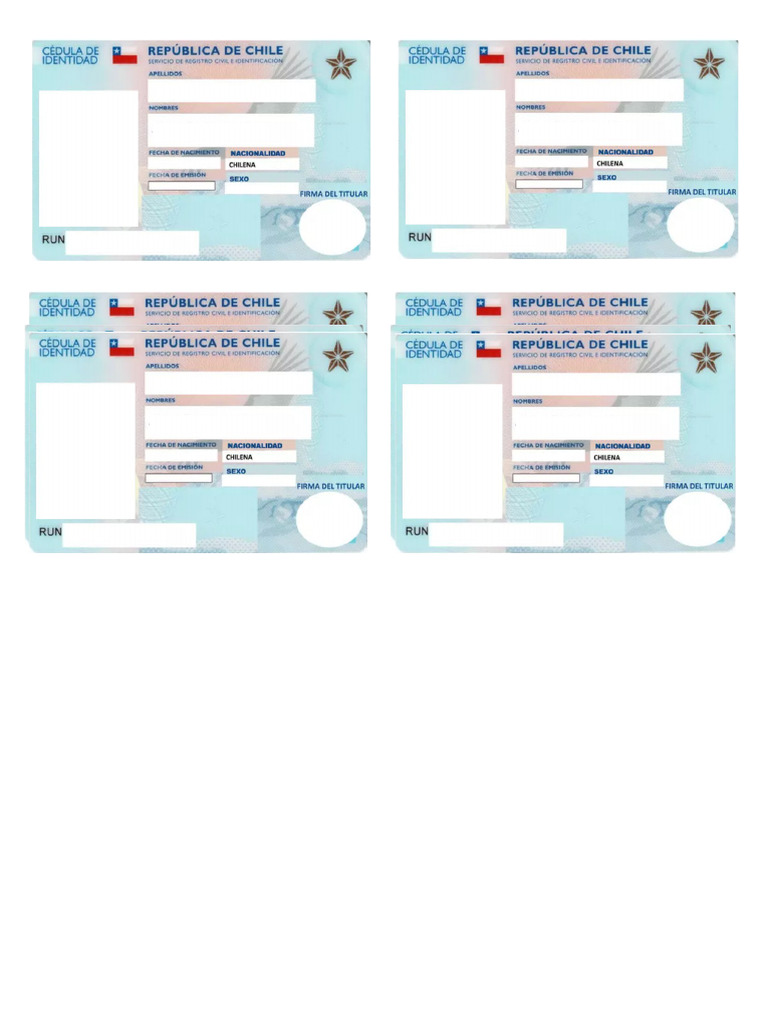 Formato Carnet | PDF