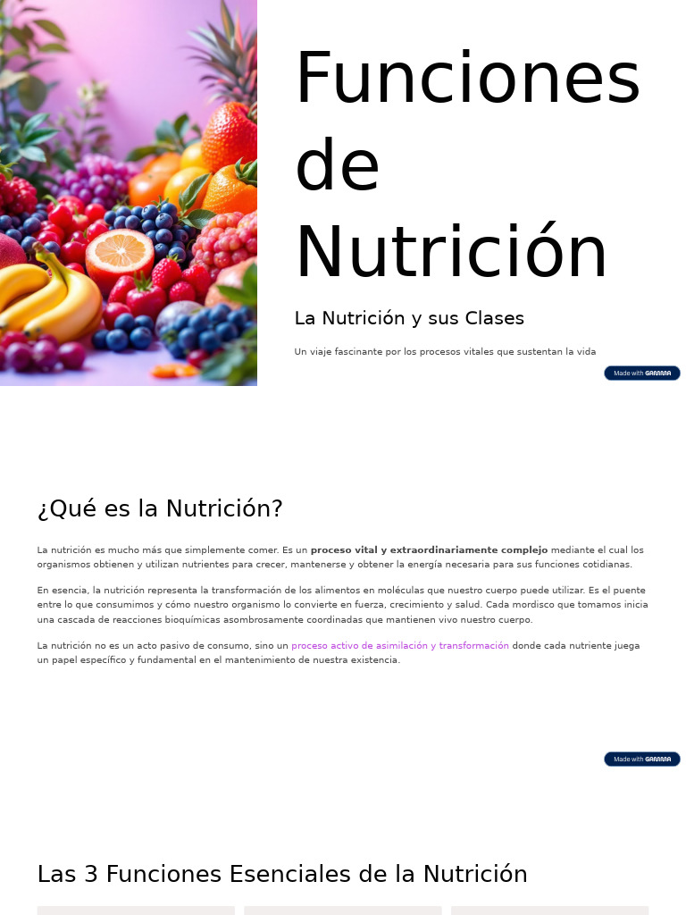Funciones de Nutricion | PDF | Nutrición | Dieta y nutrición