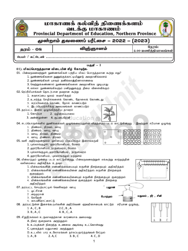 Gr8 Ta Science 2022 Term 3 | PDF