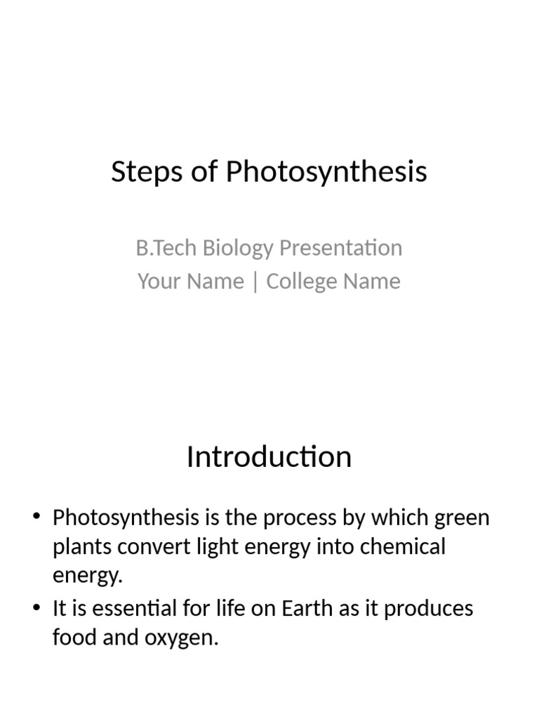 Step-by-Step Photosynthesis Process | PDF