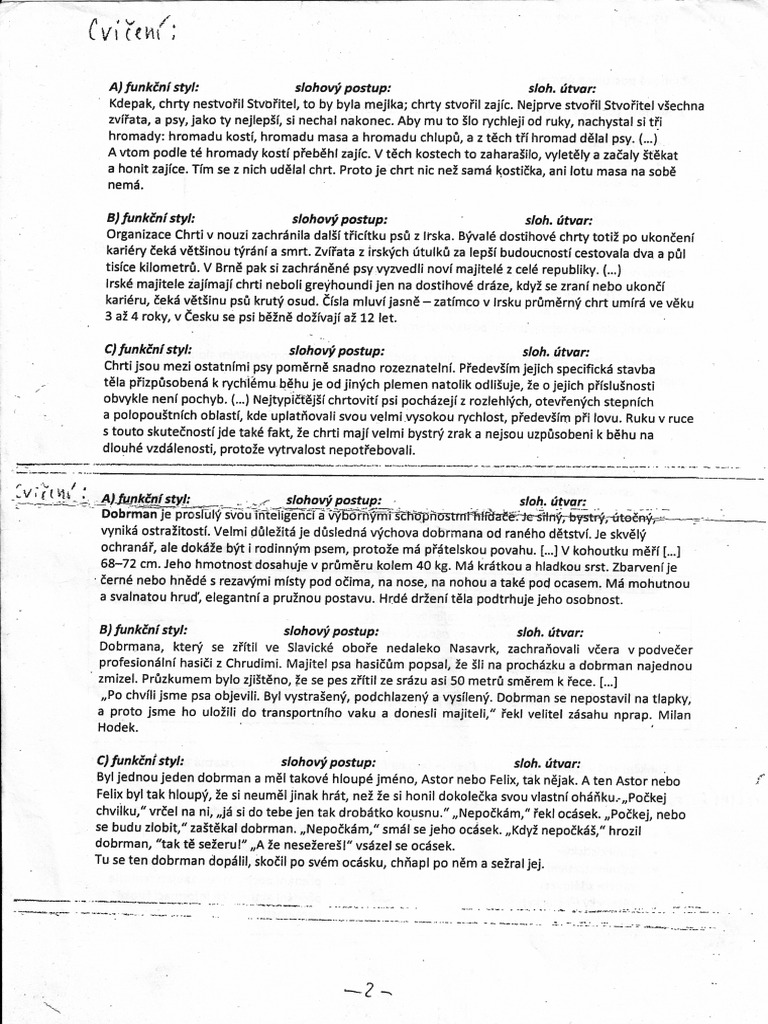 Funkční Styly Psi Scan 1 | PDF