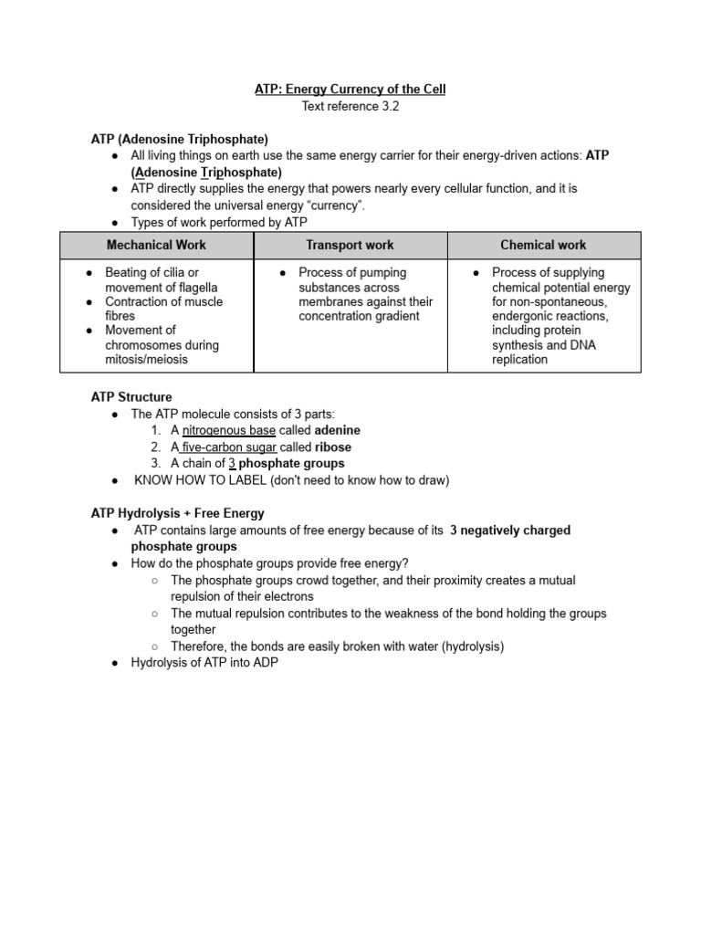 ATP - Bio | PDF | Adenosine Triphosphate | Adenosine Diphosphate