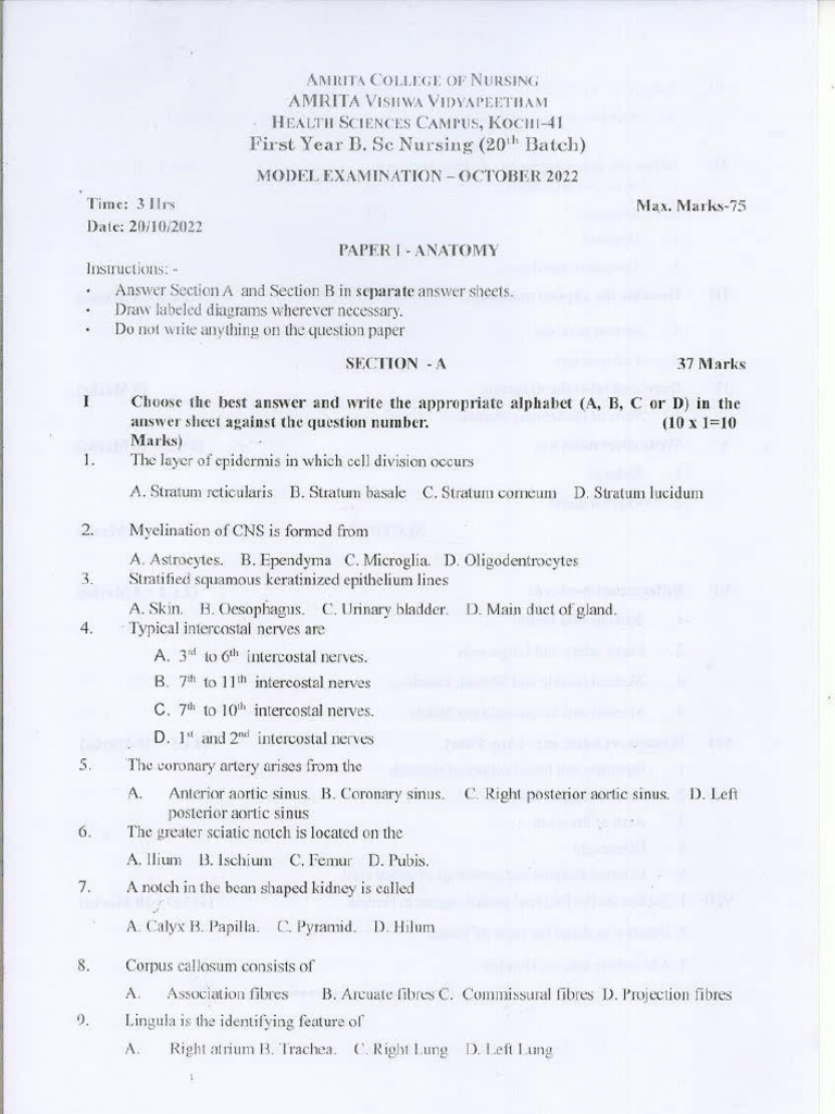Model Exam Oct-2022 | PDF