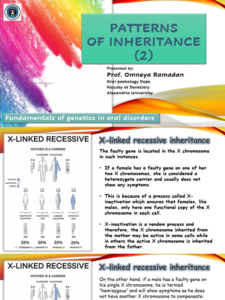 Patterns of Inheritance (Part 3) | PDF | Dominance (Genetics) | Heredity