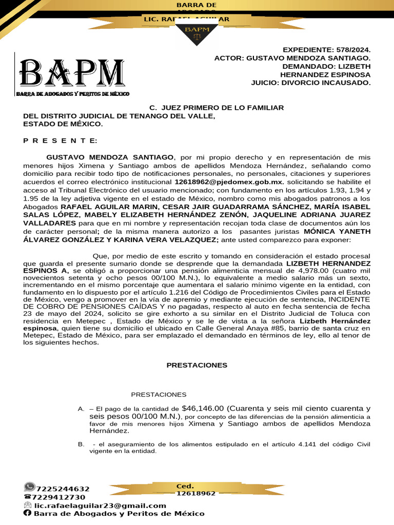 Incidente Gustavo | PDF | Pensión alimenticia | Sentencia (ley)