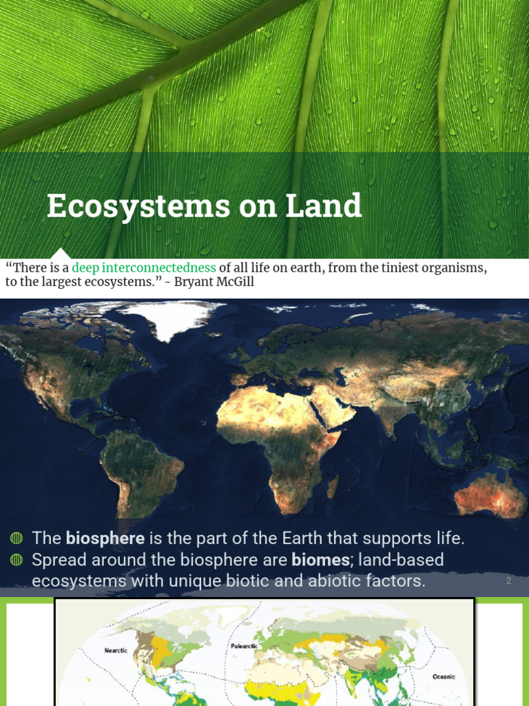 Understanding Land Ecosystems and Biomes | PDF | Forests | Precipitation