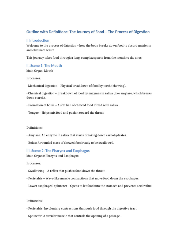 The Digestion Process Explained | PDF | Digestion | Stomach