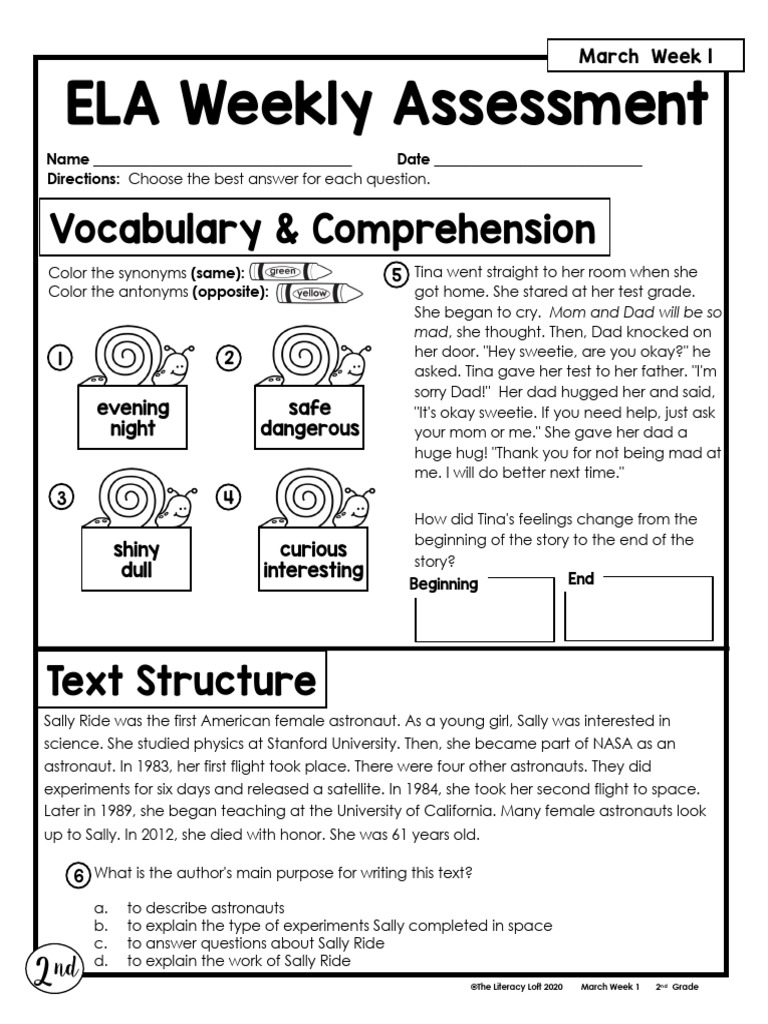 Tina's Test and Emotional Growth | PDF | Rainforest | Birds