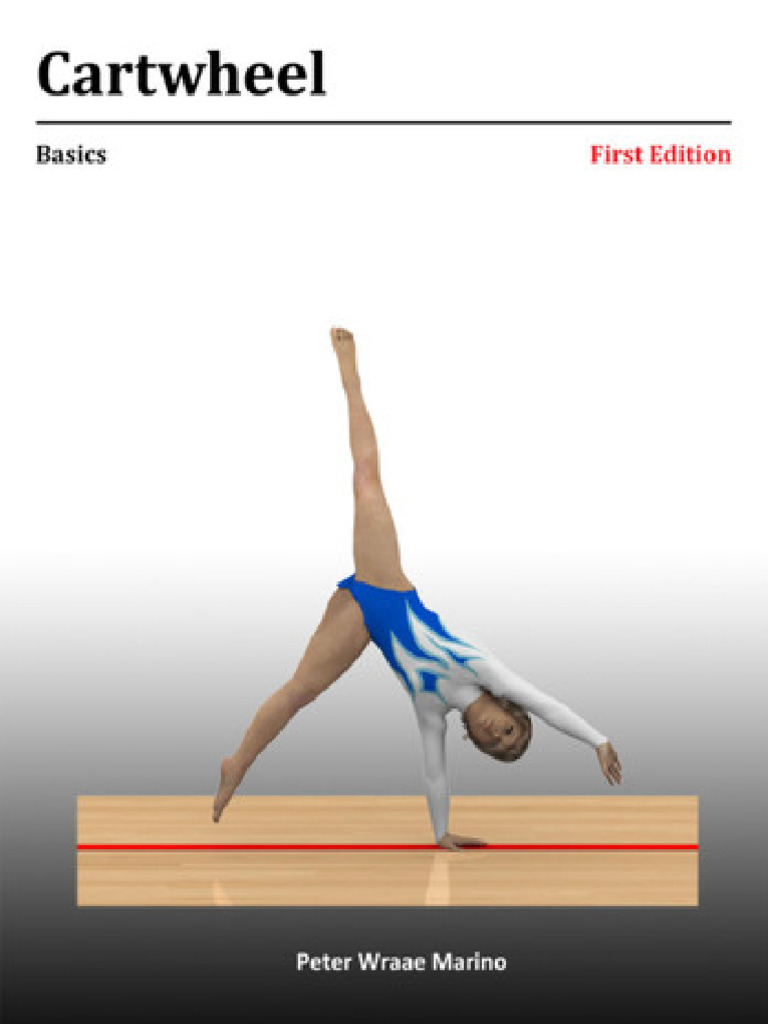 Cartwheel: Basics | PDF | Beehive | Beekeeping