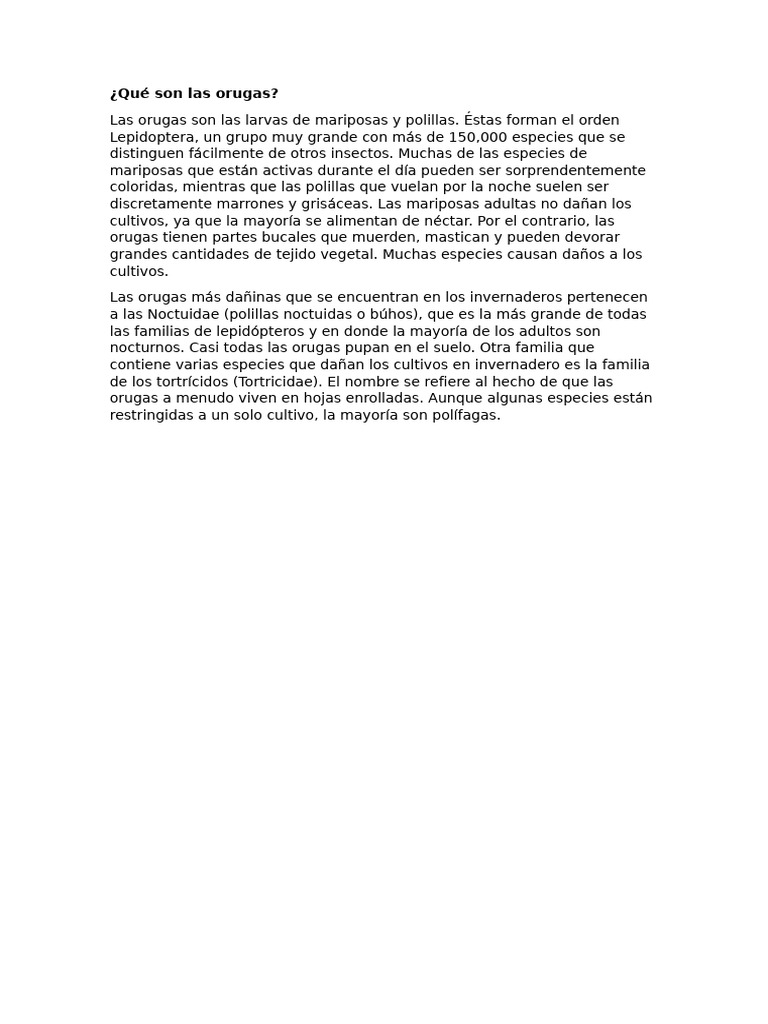 Qué Son Las Orugas | PDF