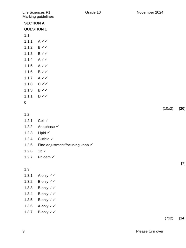 Grade 10 Life Sciences Term 4 Exam 2024 | PDF | Tissue (Biology) | Botany