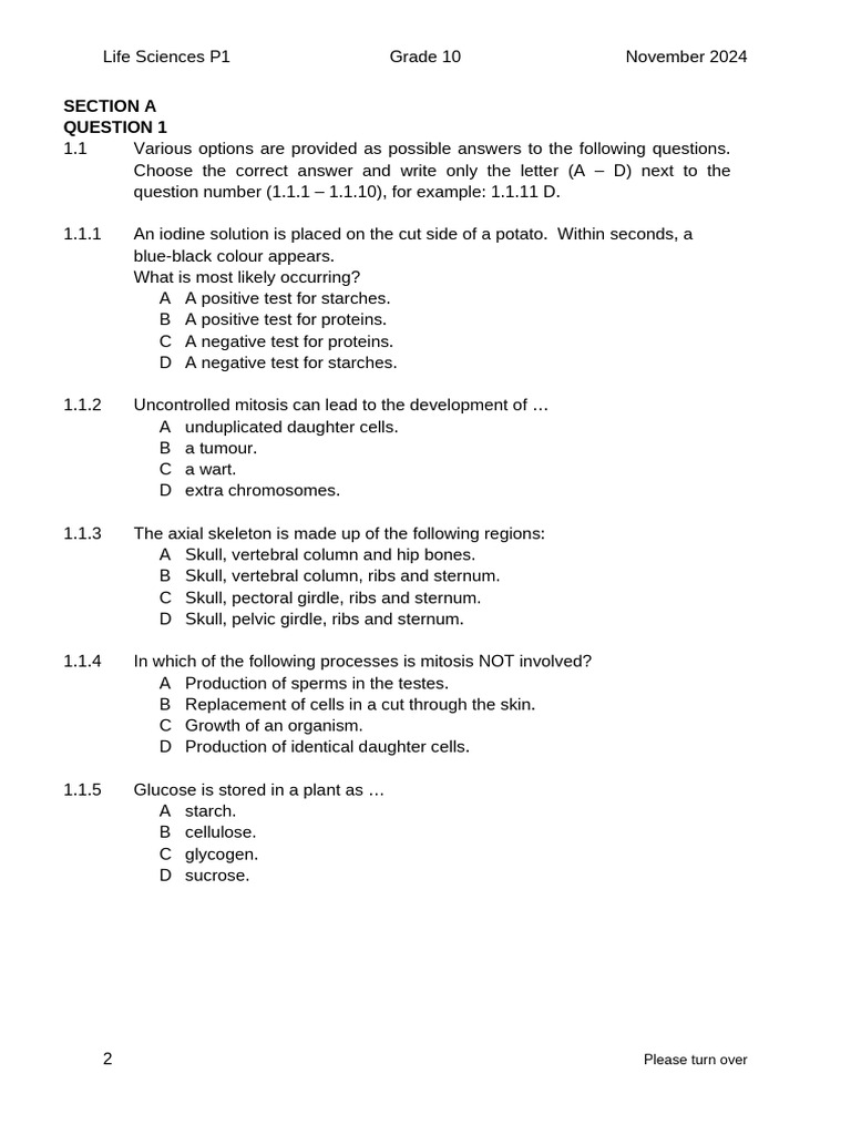 Grade 10 Life Sciences Term 4 Exam 2024 | PDF | Leaf | Root