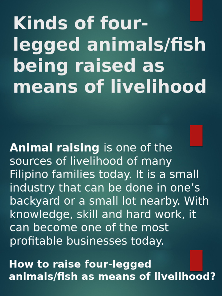Kinds of Four-Legged Animals | PDF