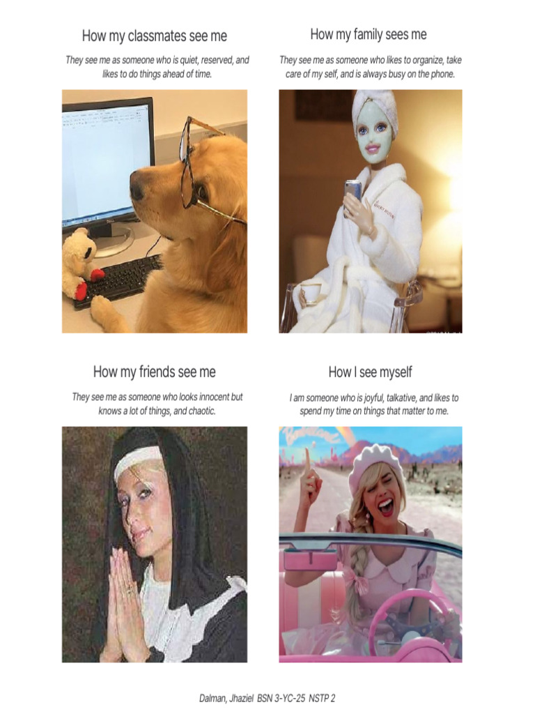 Self Awareness Meme (Dalman, Jhaziel) | PDF