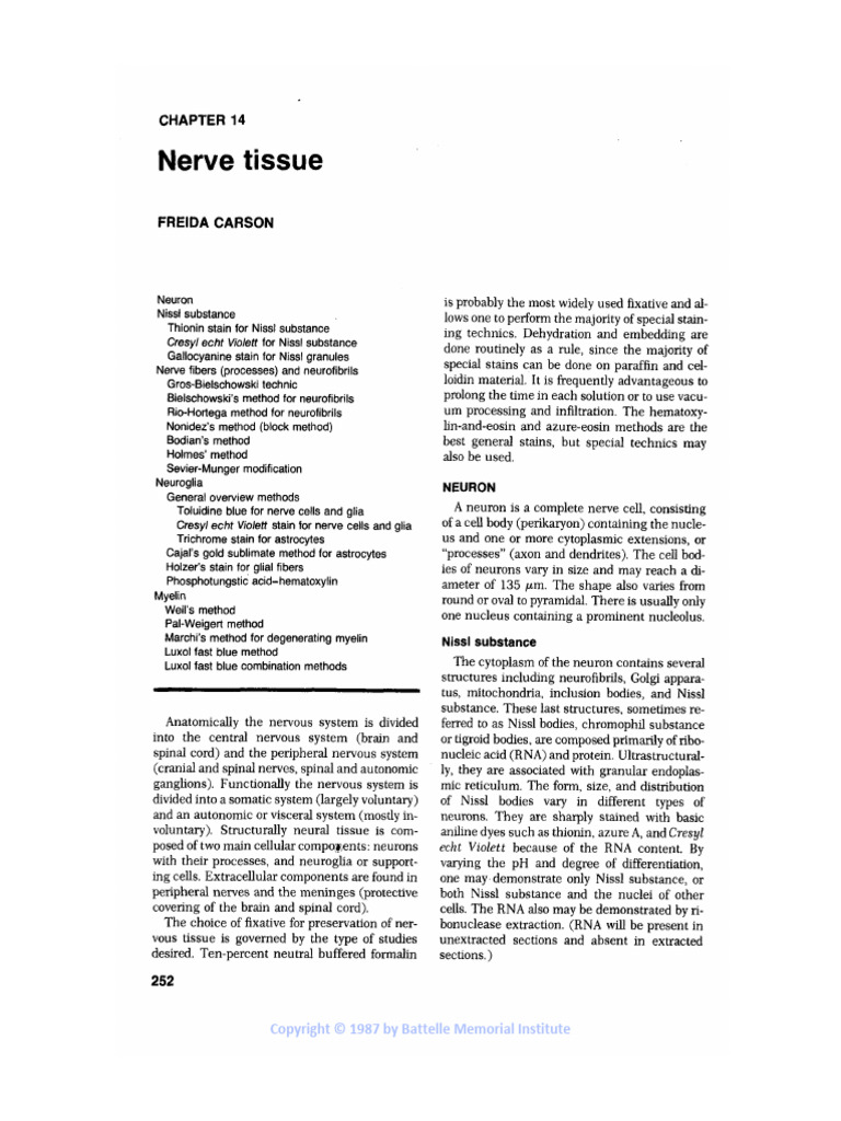 Nerve Tissue Staining Techniques Guide | PDF | Neuron | Axon