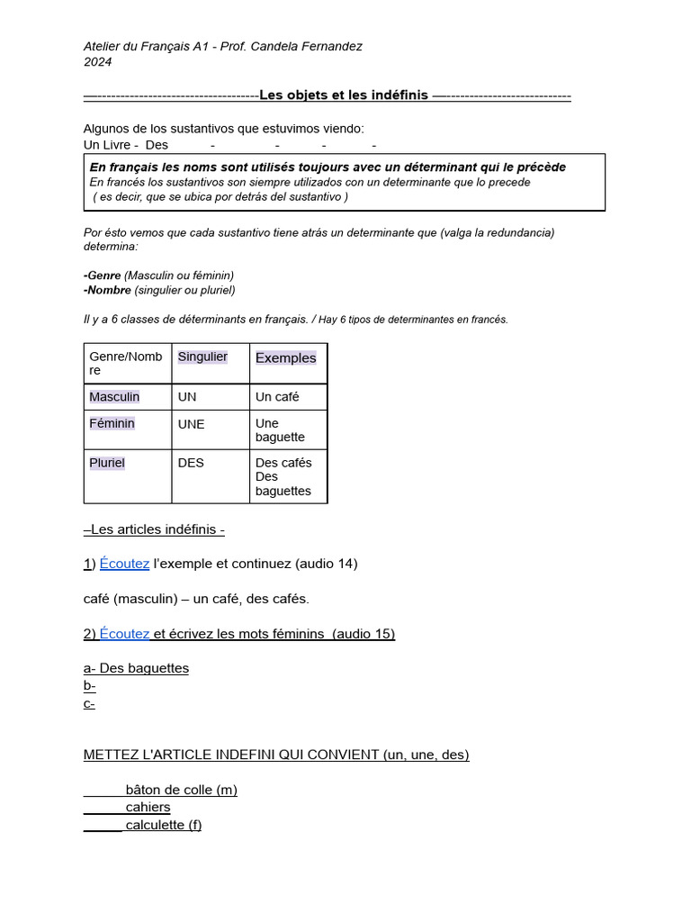 Les Articles Indéfinis | PDF