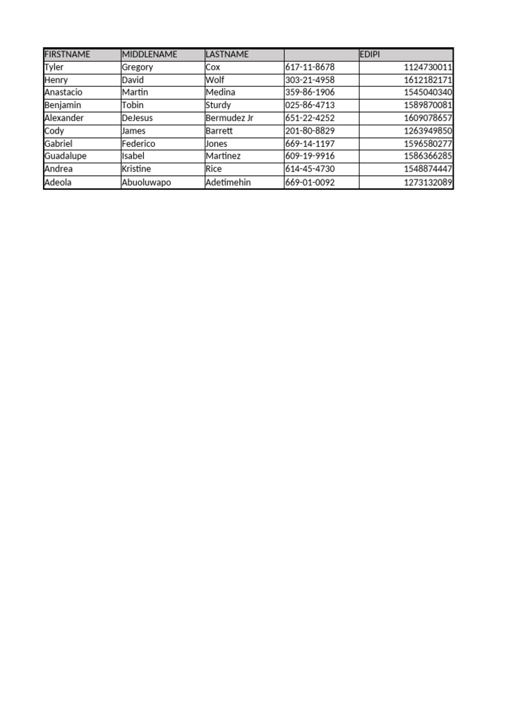 Additional Information Excel | PDF