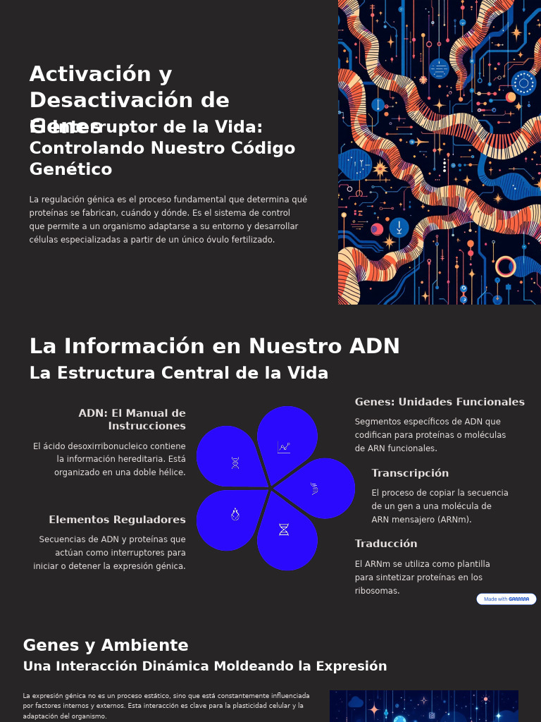 Activacion y Desactivacion de Genes | PDF | Adn | Cromatina