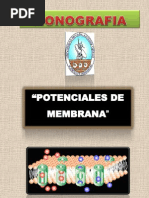 Las Uniones GAP | PDF | Músculo | Contracción muscular