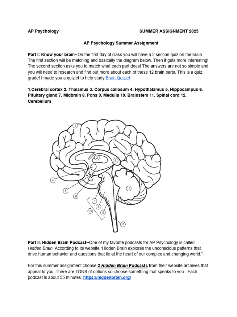 AP Psychology Summer Assignment 25 | PDF | Brain | Brainstem