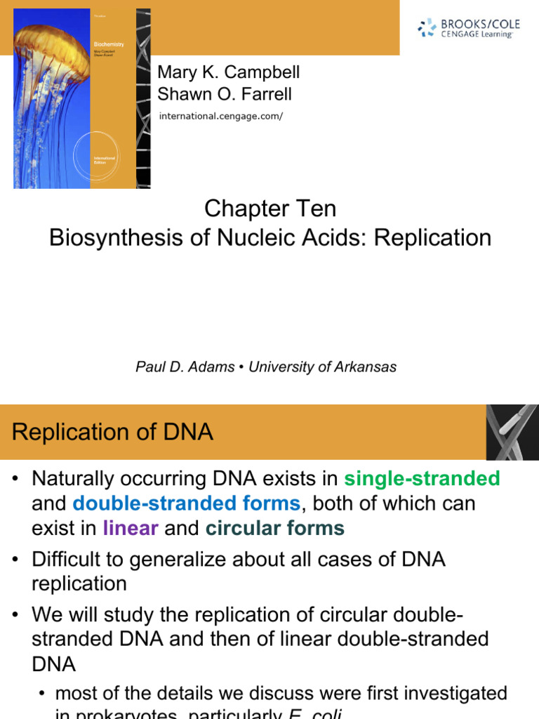 DNA Replication Mechanisms Explained | PDF | Dna Replication | Dna