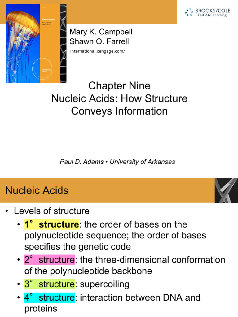 Nucleic Acids How Structure Conveys Information | PDF | Dna | Nucleic Acids