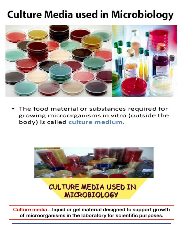 Overview of Microbiological Culture Media | PDF