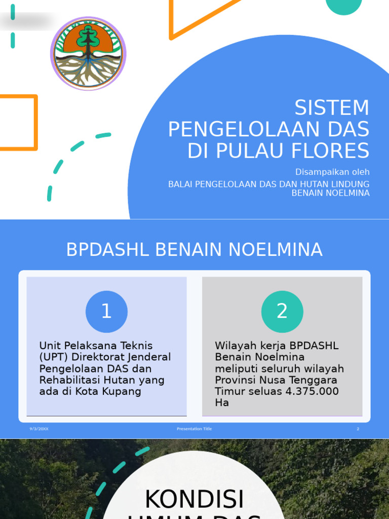 Pengelolaan DAS Pulau Flores NTT | PDF