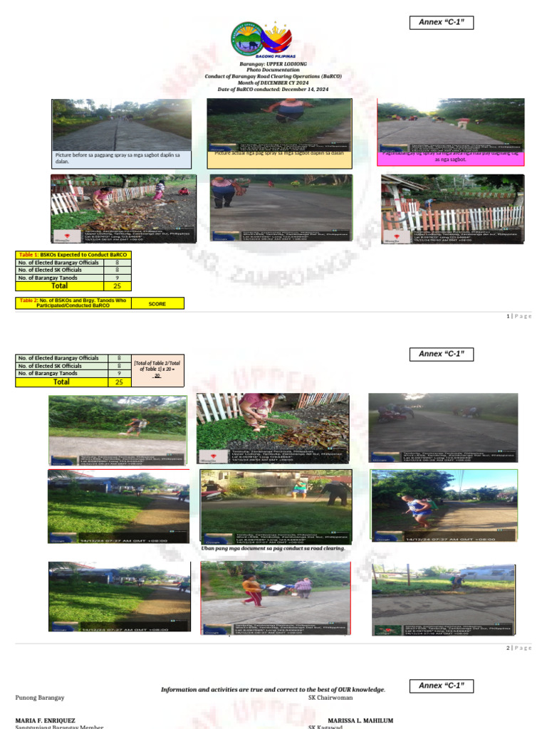 Annex C 1 Photo Documentation Barangay BaRCO Monthly Monitoring Report Template With BSKO ...