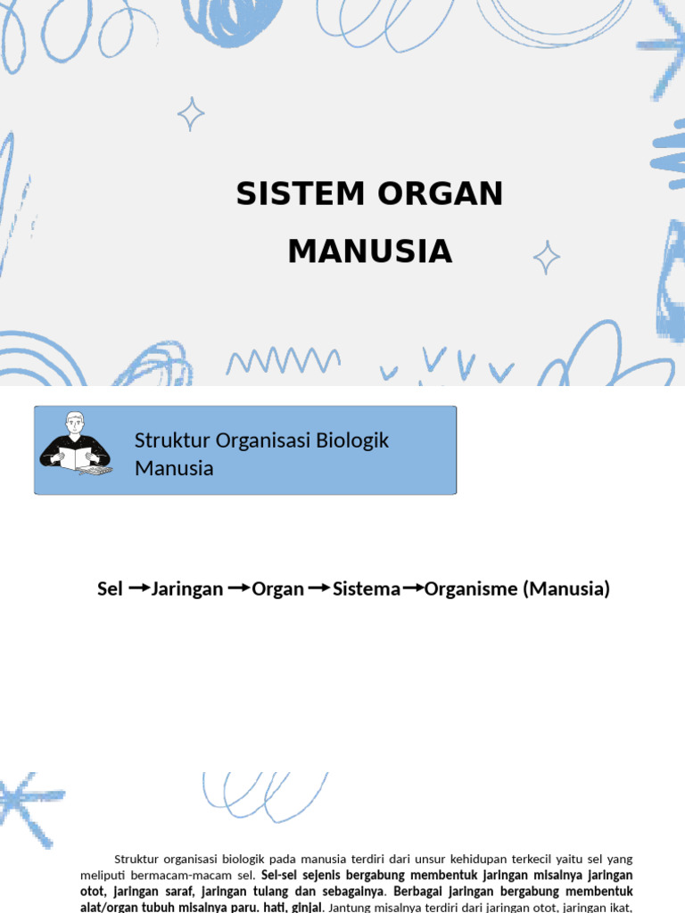 Materi 2 (Sistem Organ Manusia) | PDF