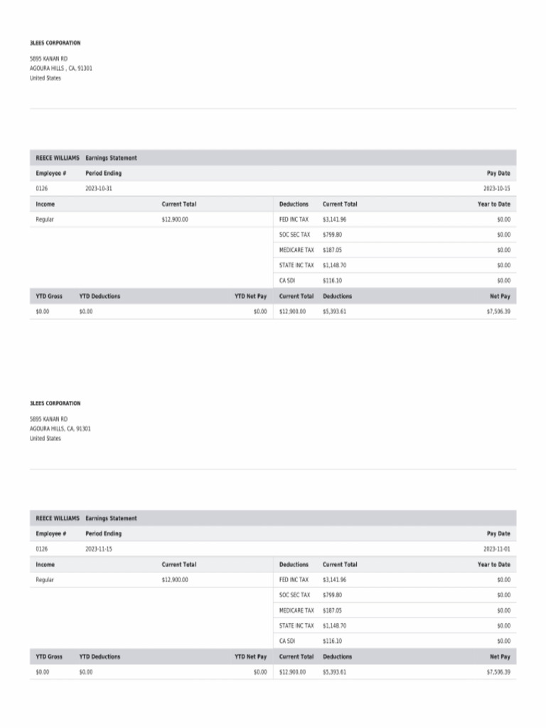 Paystub Landing | PDF