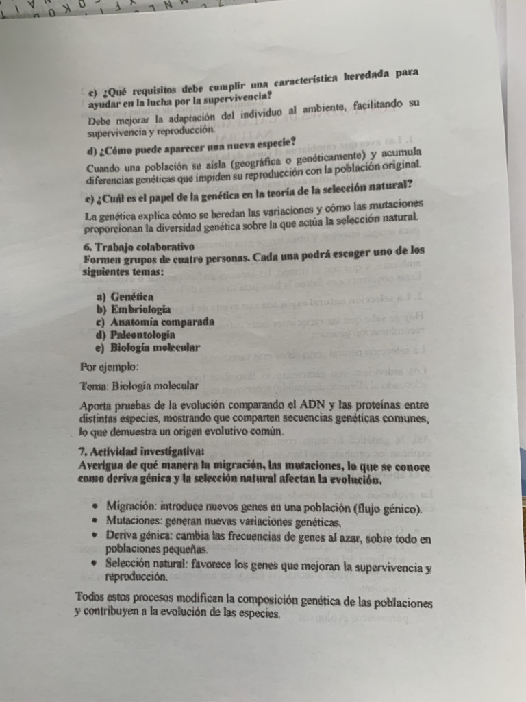 Img 5150 | PDF