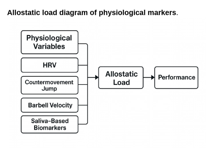 Allostatic Load Construct | PDF