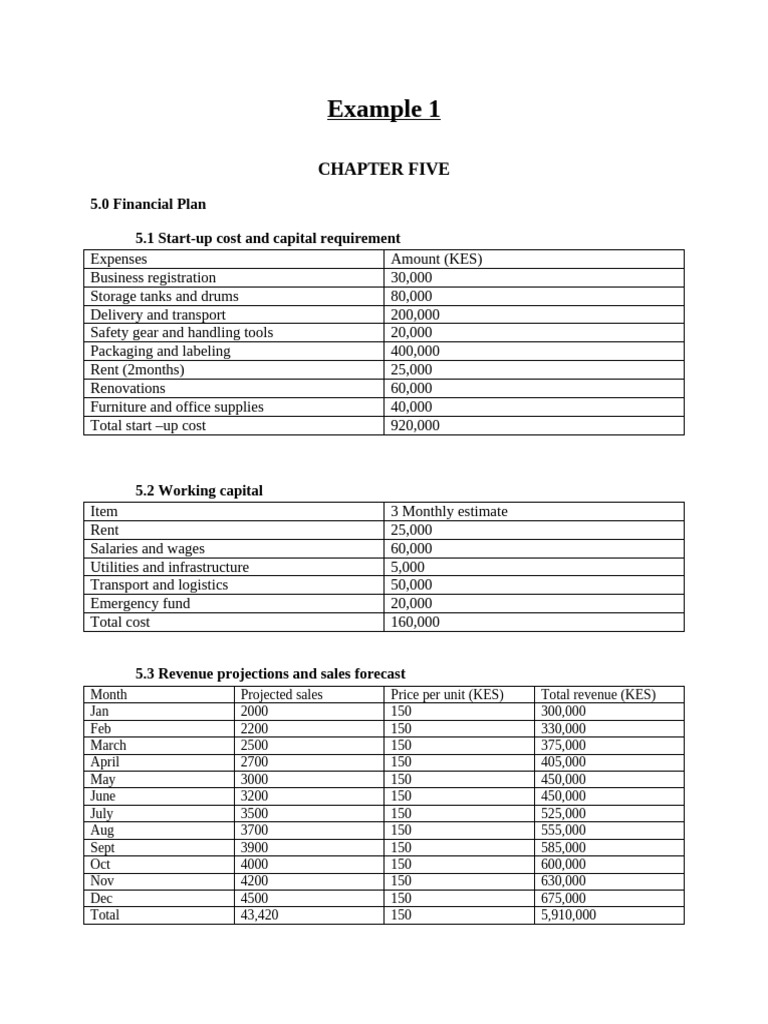 Business Plan Chapter Five Sample | PDF | Expense | Revenue