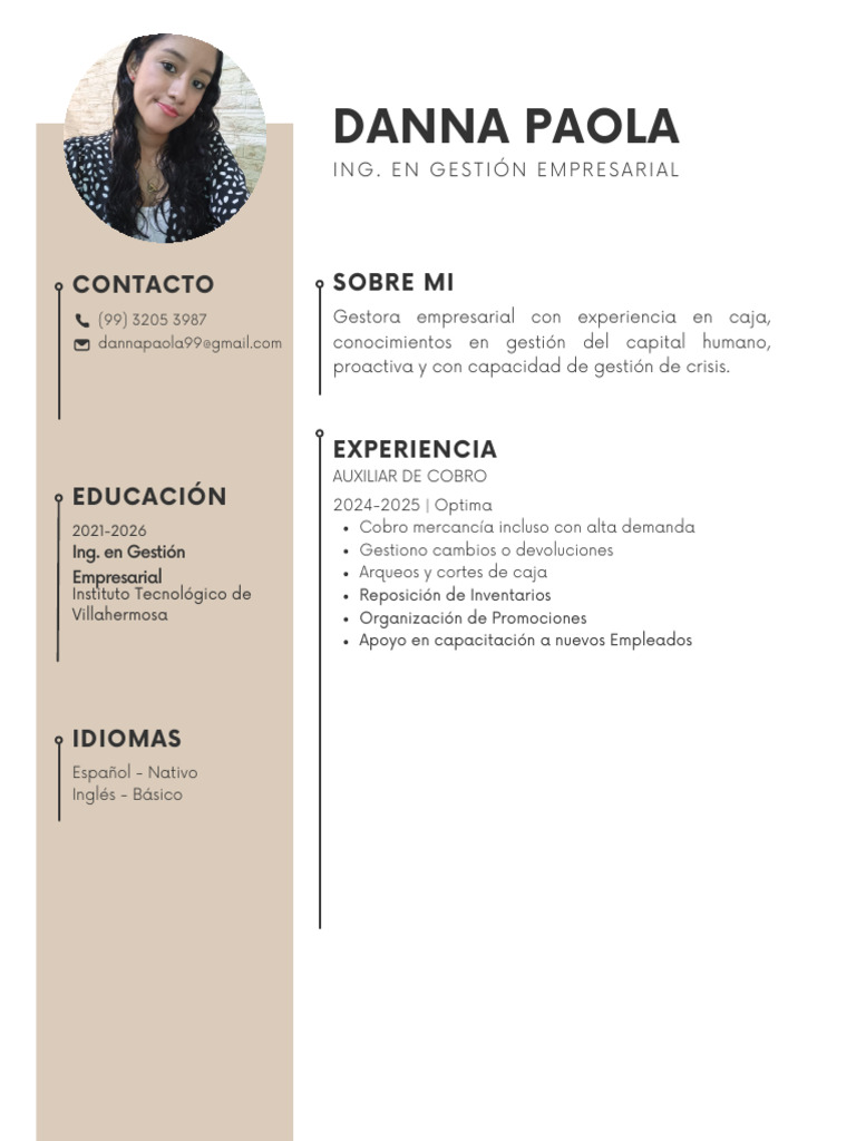 CV 6 | PDF | Economias | Business