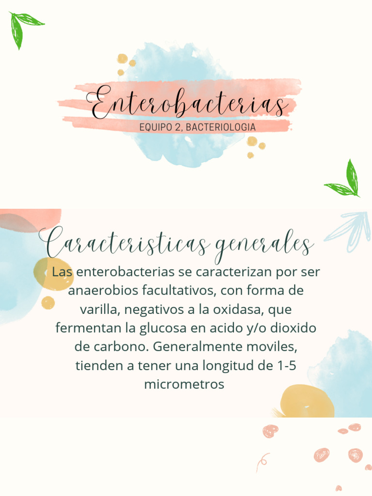 Características y cepas de Enterobacterias | PDF | Escherichia coli ...