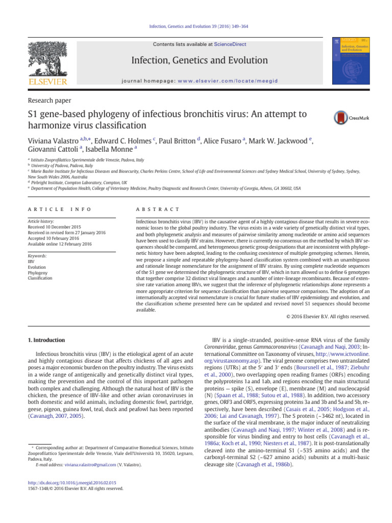 IBV S1 Gene Phylogeny and Classification | PDF | Phylogenetics ...