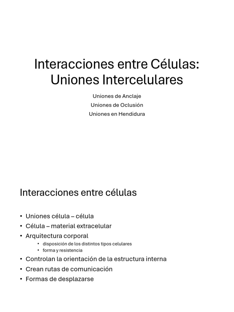 T6. Uniones Intercelulares | PDF | Adhesión celular | La matriz extracelular