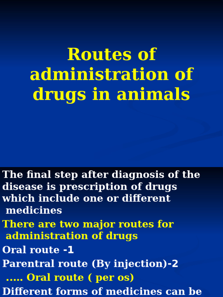 Drug Administration Routes in Animals | PDF | Injection (Medicine) | Vein
