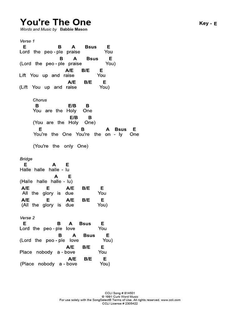 You're The One by Babbie Mason | PDF