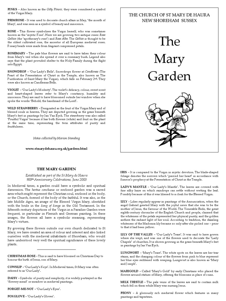 Symbolic Flowers of the Virgin Mary | PDF | Rose | Mary, Mother Of Jesus
