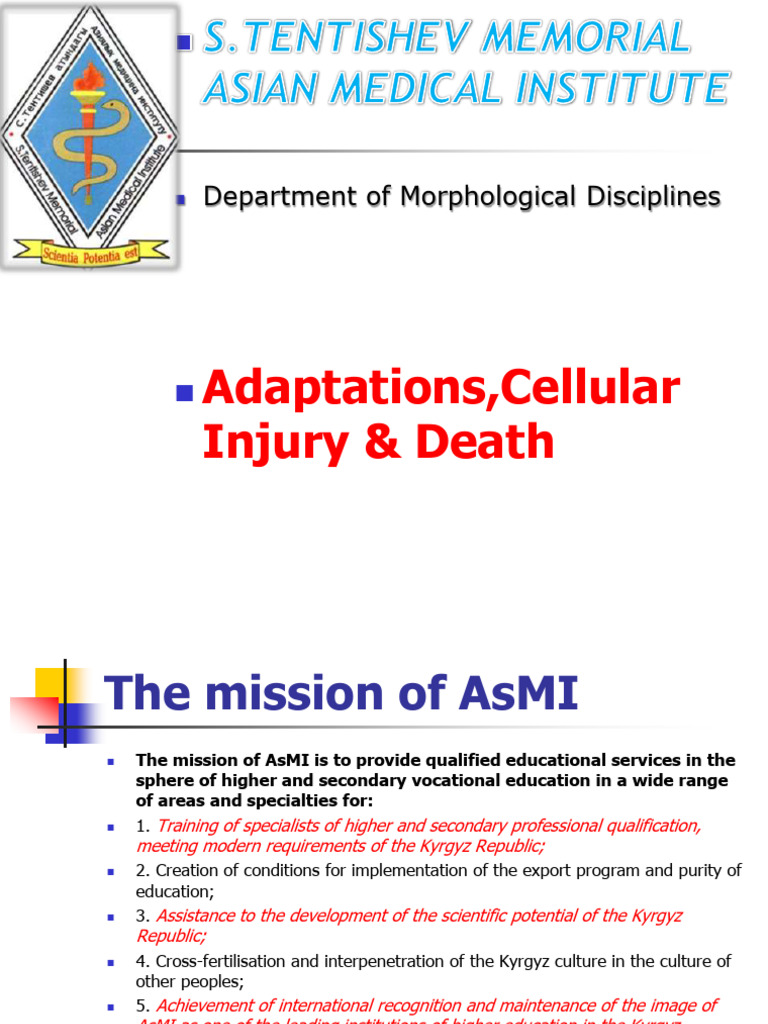 Adaptations, Cellular Injury & Death | PDF | Atrophy | Necrosis