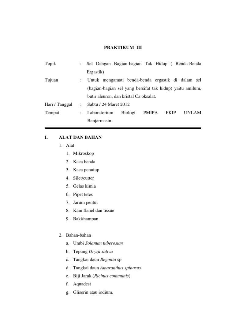 Praktikum III | PDF