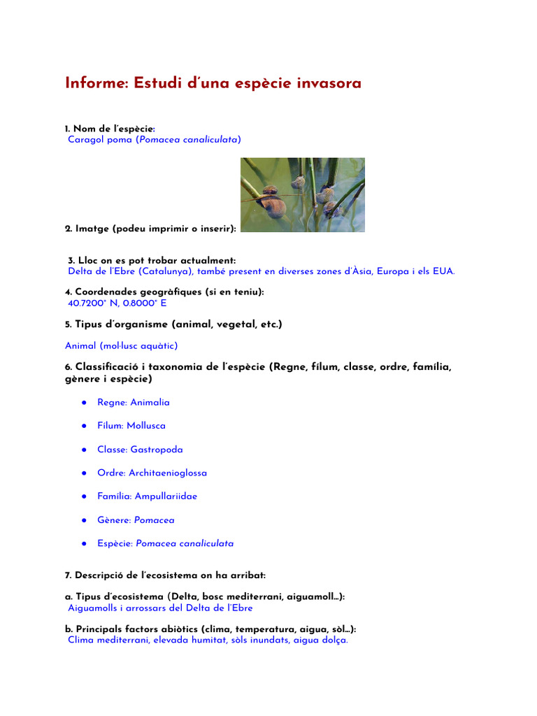 Document Sense Títol | PDF